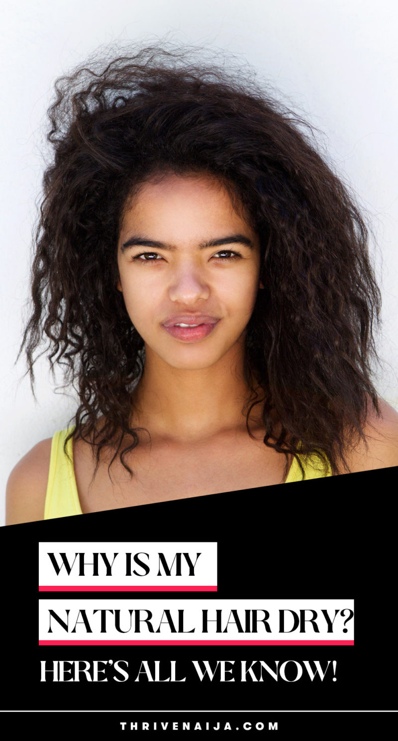 Why Is My Natural Hair So Dry? | ThriveNaija