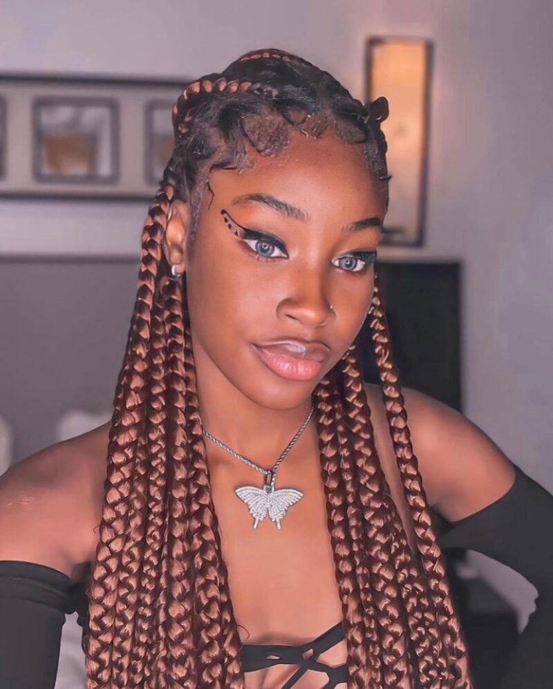 60 New Knotless Box Braids Ideas | ThriveNaija